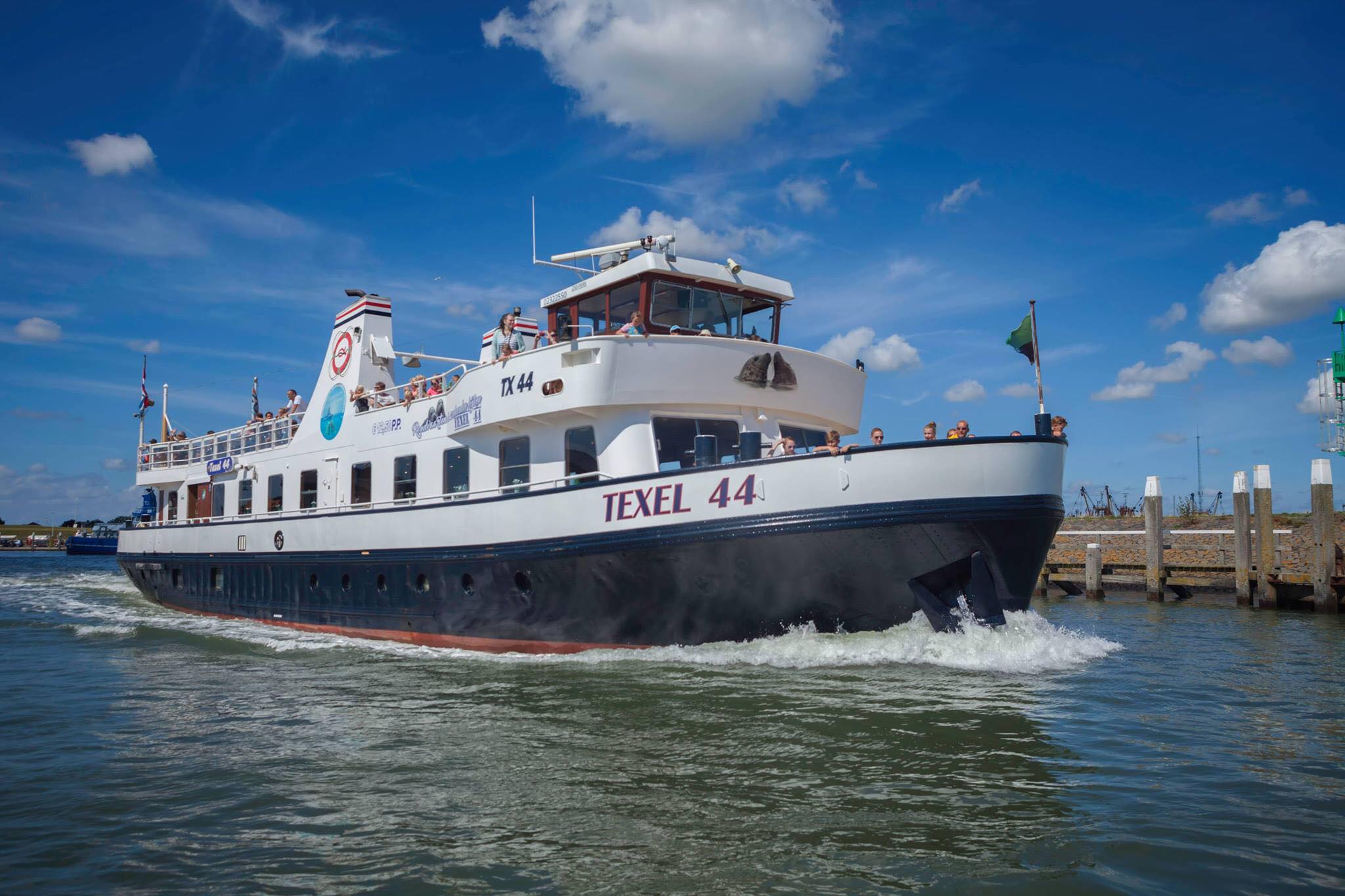 Wadden cruise TX44 seal watching
